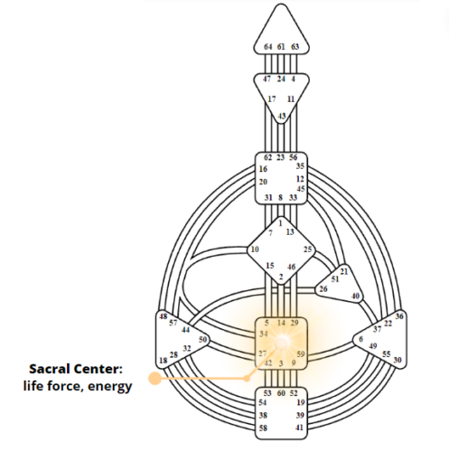 How to Lead Those with an Open Sacral Center in Human Design - Orion Ohev
